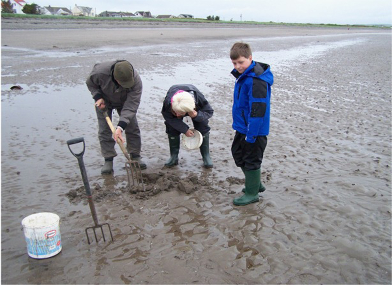 Bait Digging Gallery | AFYD