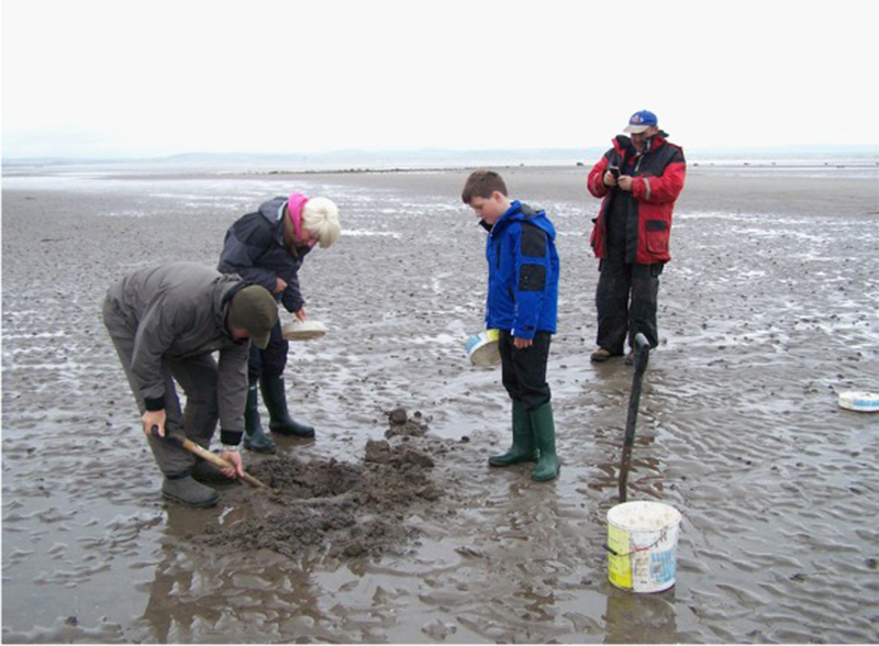 Bait Digging Gallery | AFYD