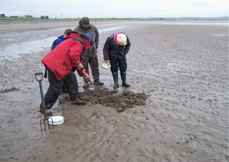 Bait Digging Gallery | AFYD