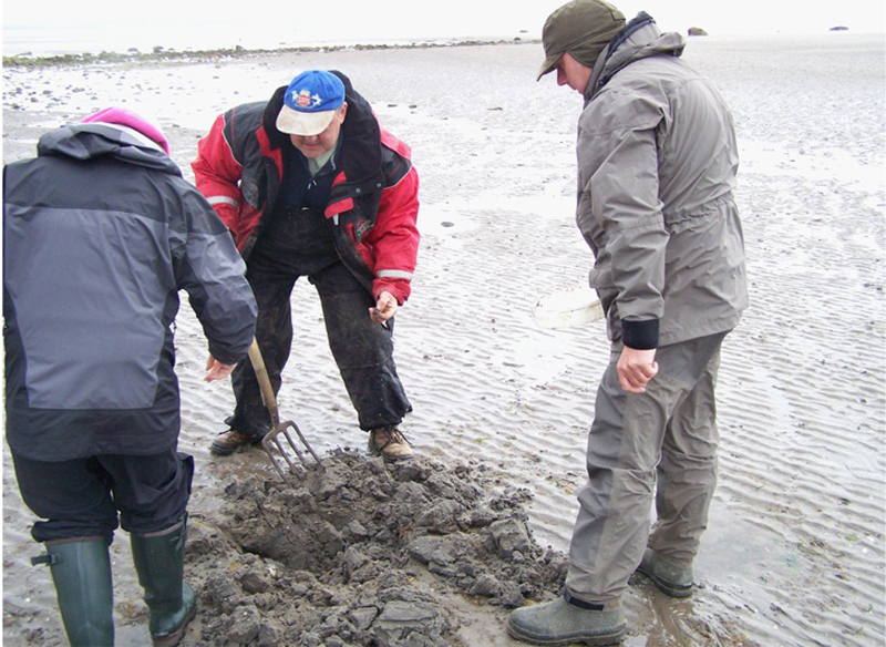 Bait Digging Gallery | AFYD