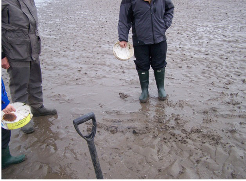 Bait Digging Gallery | AFYD